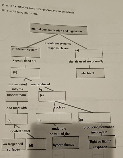 CHAPTER 26 ﻿HORMONES AND THE ENDOCRINE SYSTEM | Chegg.com