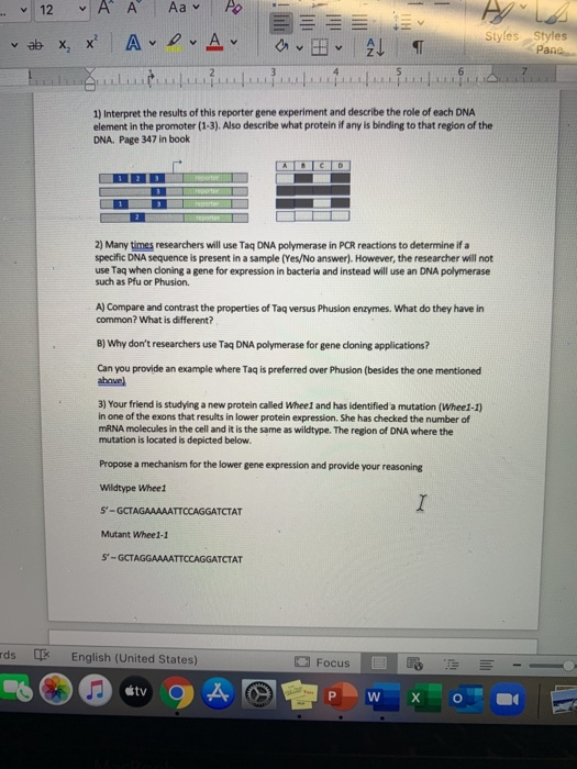 1) Interpret the results of this reporter gene | Chegg.com