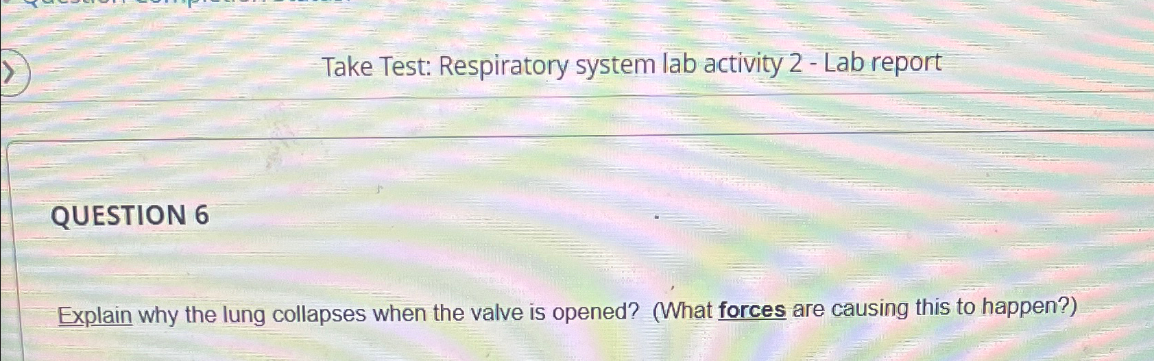 Solved Take Test: Respiratory system lab activity 2 - ﻿Lab | Chegg.com