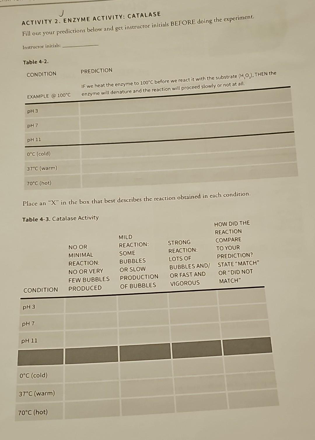 Solved ACTIVITY 2. ENZYME ACTIVITY: CATALASE Fill out your | Chegg.com