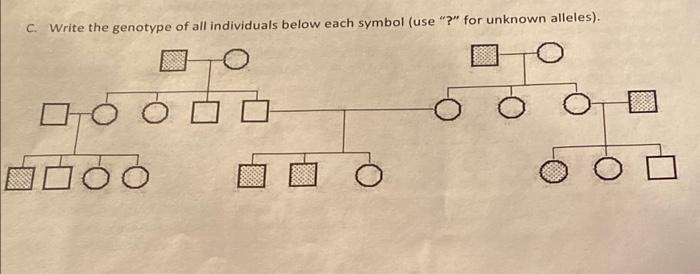 C. Write the genotype of all individuals below each | Chegg.com