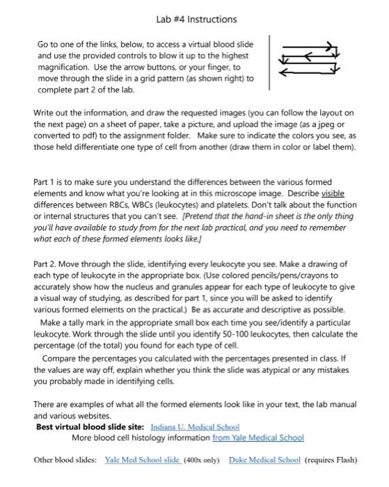 Solved Part 1. Describe the differences vou can observe | Chegg.com