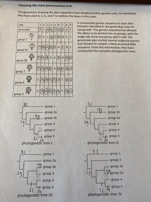 Choosing the most parsimonious tree The geneticists | Chegg.com