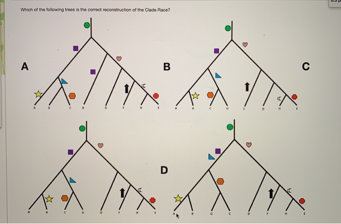 Solved UDP Which of the following trees is the correct | Chegg.com