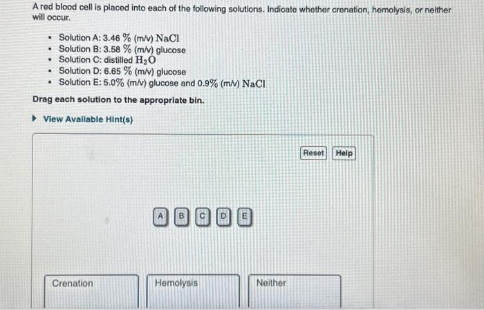 Solved A red blood cell is placed into each of the following | Chegg.com