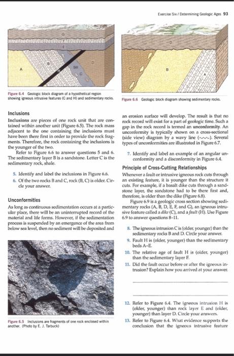Solved Cast: The space once occupied by a dissolved shell of | Chegg.com