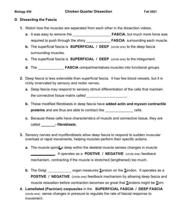 Solved Biology 430 Chicken Quarter Dissection Fall 2021 D. | Chegg.com