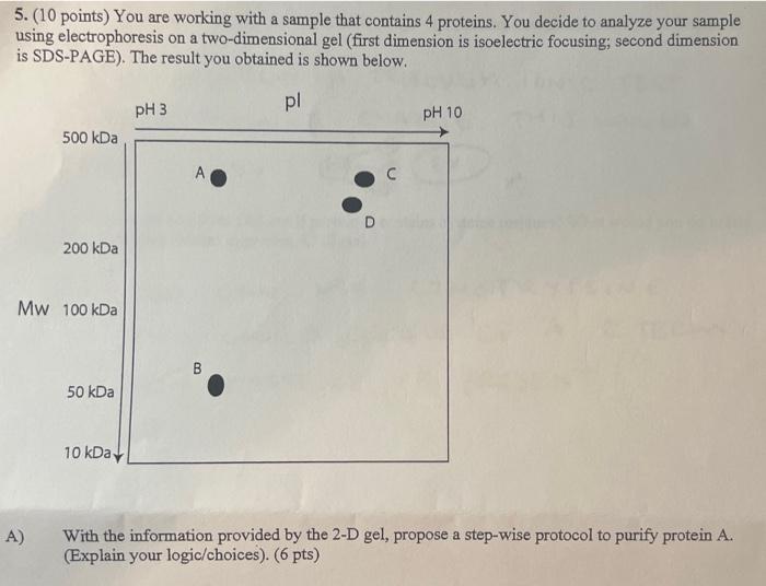 Solved 5. (10 points) You are working with a sample that | Chegg.com