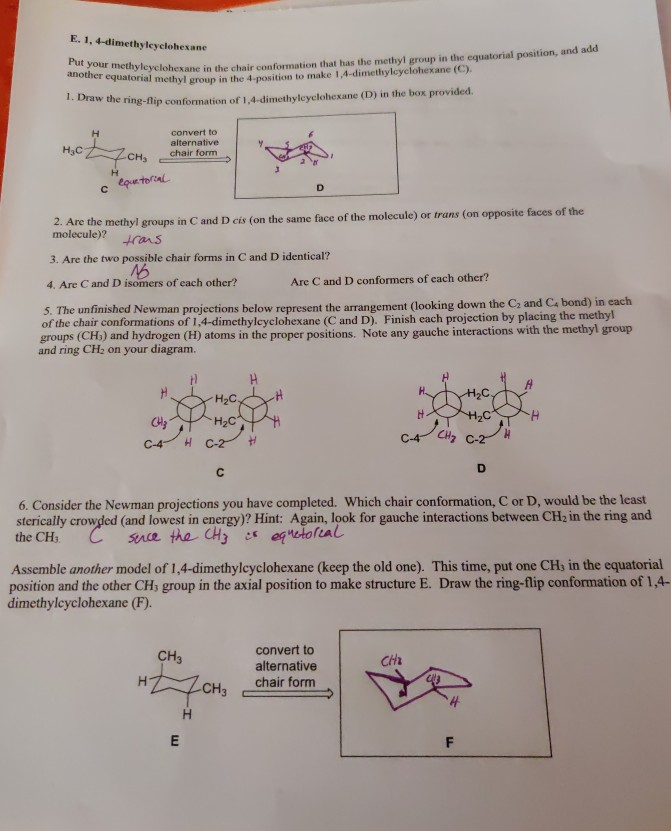 Solved E. 1,4-dimethylcyclohexane another equatorial methyl | Chegg.com