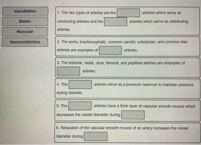 Solved 1. The two types of arteries are the arteries which | Chegg.com