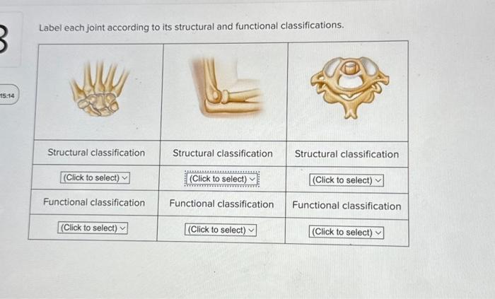 Solved 15 14 Label Each Joint According To Its Structural