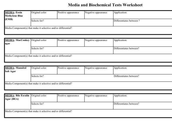 Solved Media and Biochemical Tests Worksheet Original color | Chegg.com