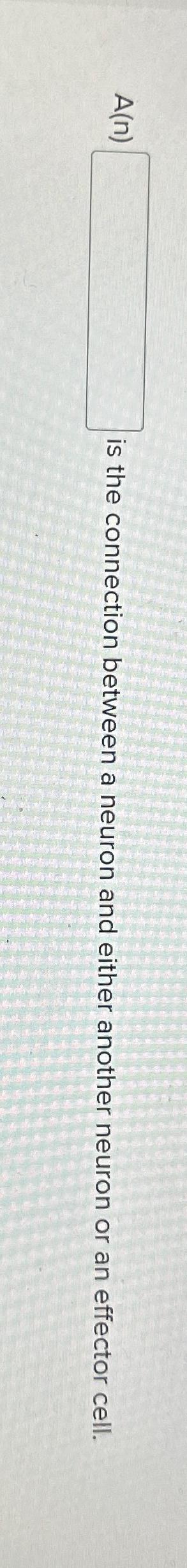 Solved A(n) ﻿is the connection between a neuron and either | Chegg.com
