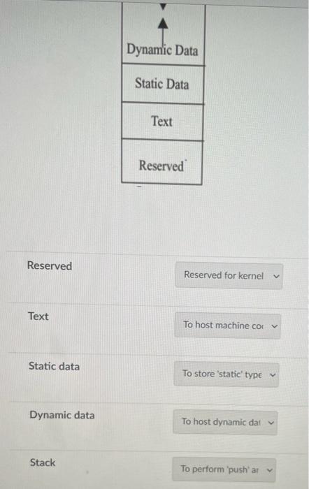 Solved Reserved Text Static data Dynamic data | Chegg.com