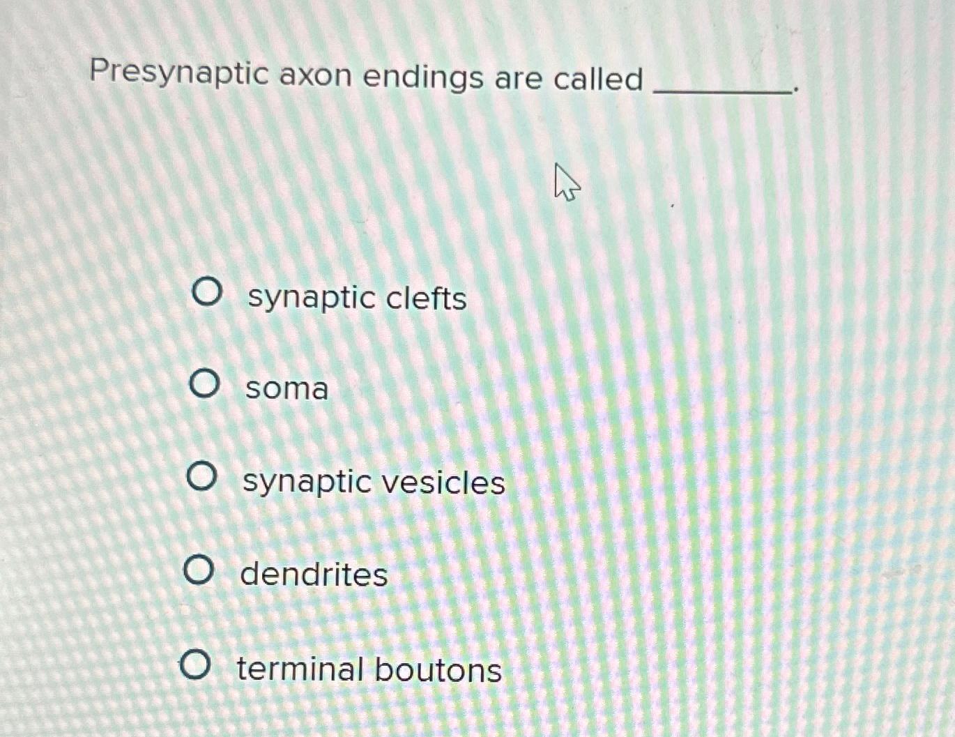 Solved Presynaptic axon endings are calledsynaptic | Chegg.com