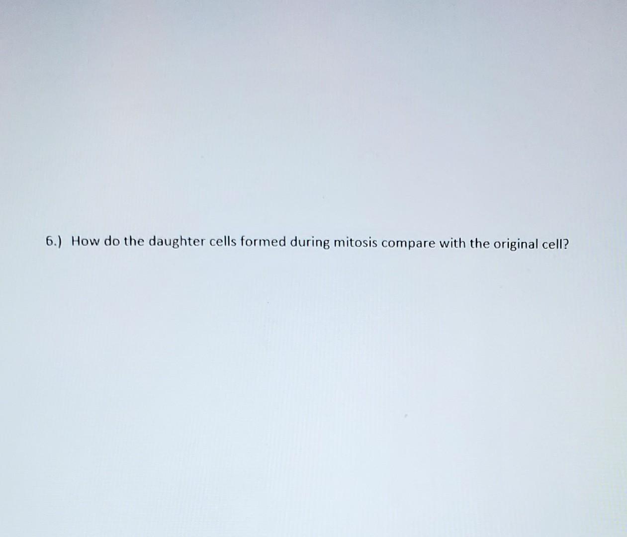 Solved 1.) Match the following onion root tip images with | Chegg.com