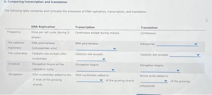 Solved 6. Comparing transcription and translation The | Chegg.com
