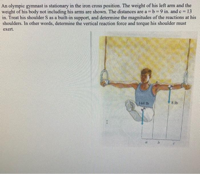 Solved An olympic gymnast is stationary in the iron cross | Chegg.com