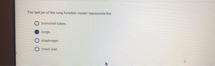 Solved The bell jar of the lung function model represents | Chegg.com