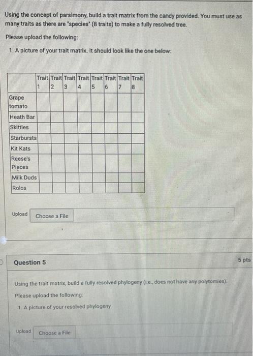 Solved need help with these two questions plz?? for qustion | Chegg.com