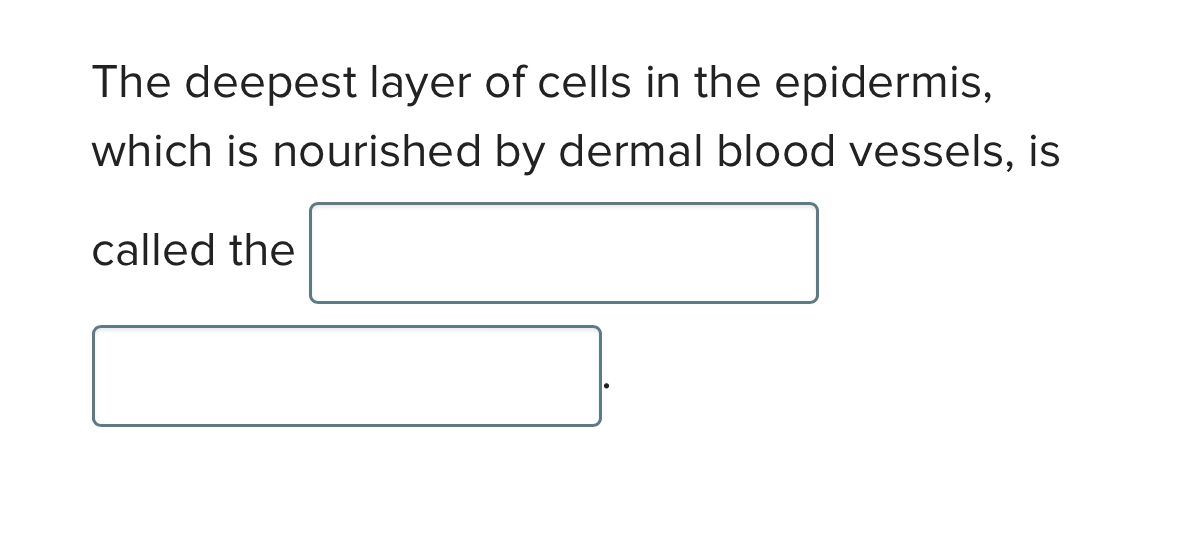 Solved The deepest layer of cells in the epidermis, which is | Chegg.com