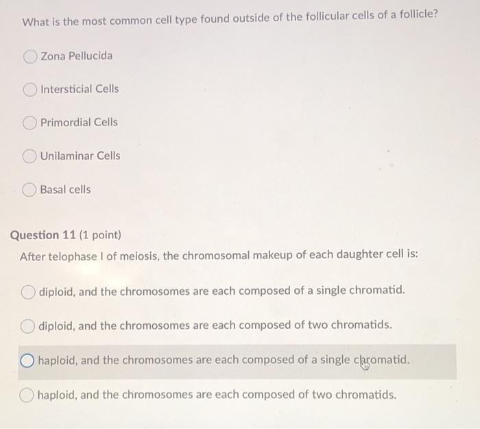 Solved What is the most common cell type found outside of | Chegg.com