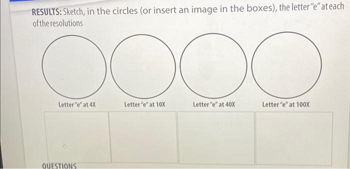 Sketch, in the circles (or insert an image in the | Chegg.com
