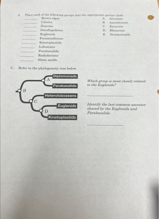 Solved 1. Which of the following is true regarding the | Chegg.com