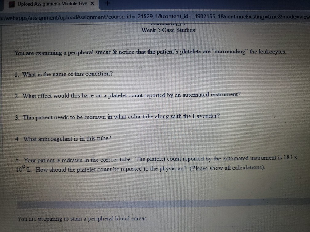 Solved Upload Assignment Module Five X | Chegg.com