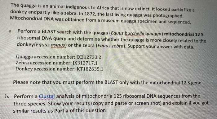 Solved The quagga is an animal indigenous to Africa that is | Chegg.com