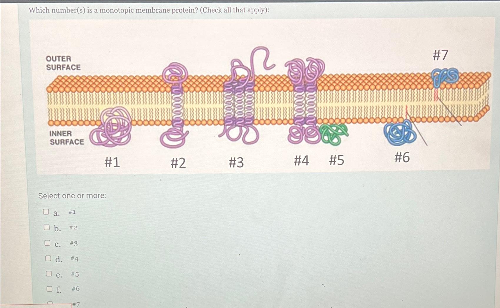 Solved Which number(s) ﻿is a monotopic membrane protein? | Chegg.com