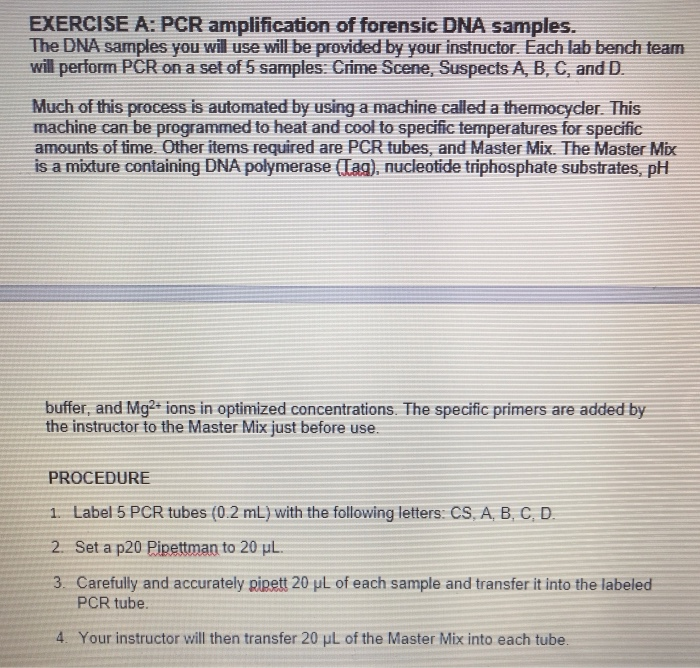 Solved EXERCISE A: PCR amplification of forensic DNA | Chegg.com