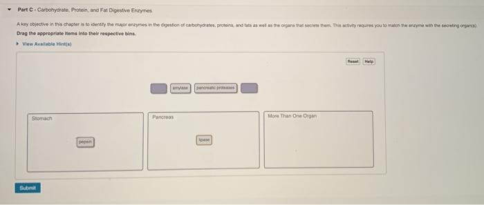 Solved - Part C Carbohydrate, Protein and Fat Digestive | Chegg.com