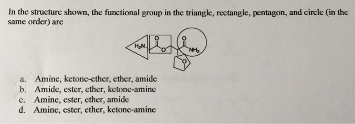 Solved in the structure shown, the functional group in the | Chegg.com
