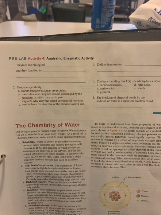 Solved PRE-LAB Activity 4: Analyzing Enzymatic Activity 1. | Chegg.com