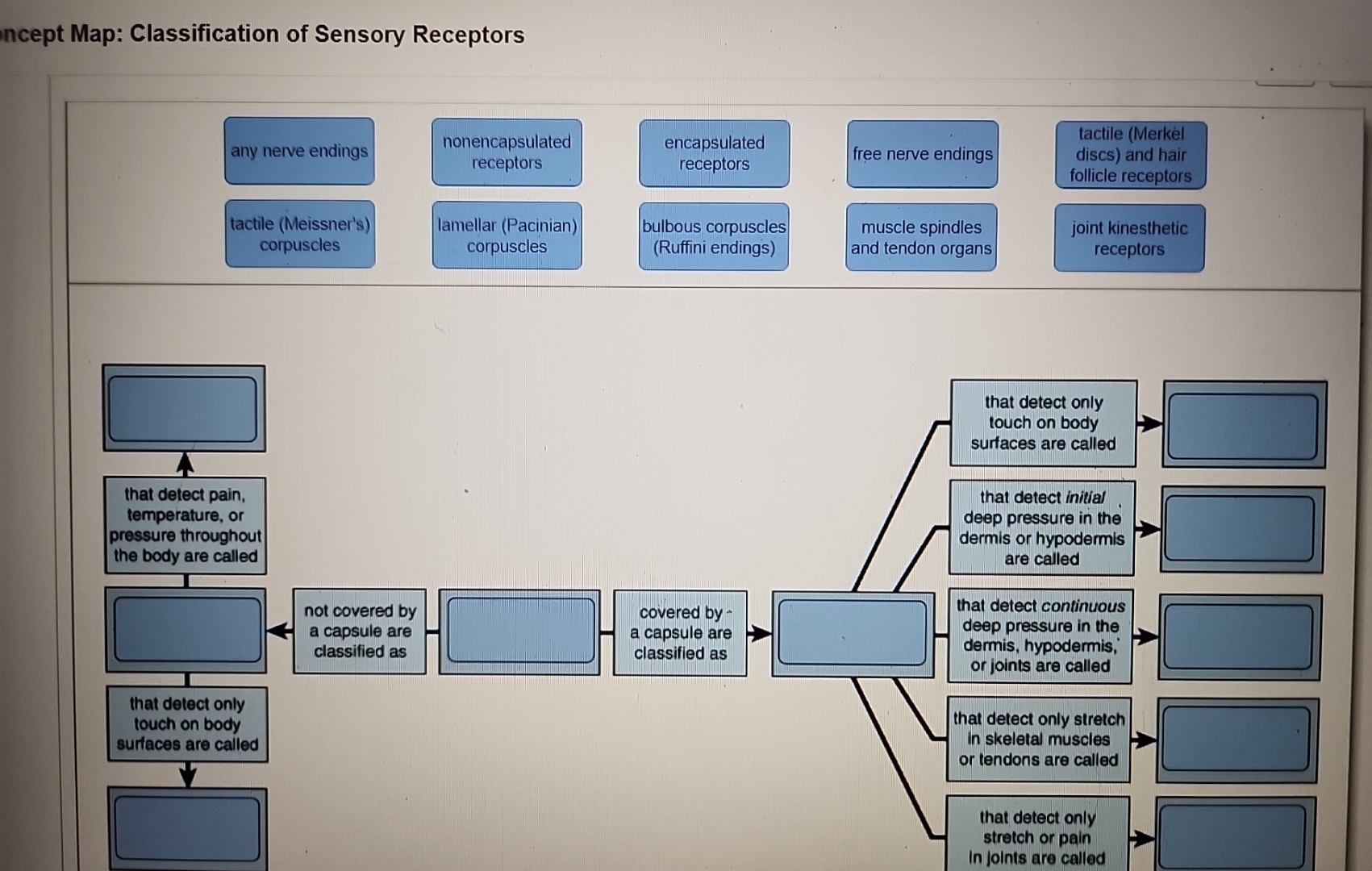 Solved incept Map: Classification of Sensory Receptors | Chegg.com