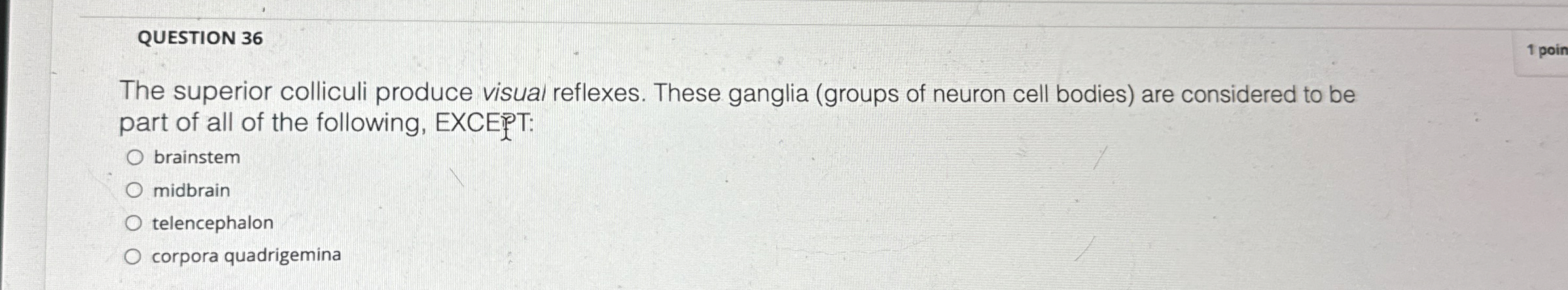 Solved QUESTION 36The superior colliculi produce visual | Chegg.com