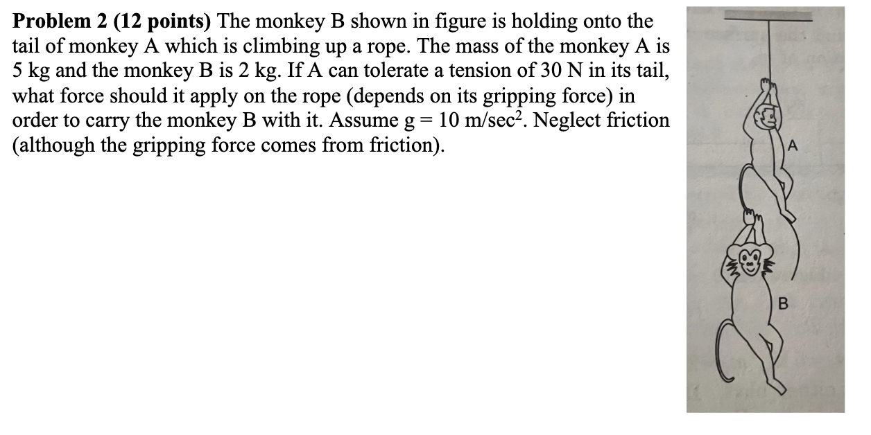 Solved Problem 2 ( 12 ﻿points) ﻿The monkey B shown in figure | Chegg.com