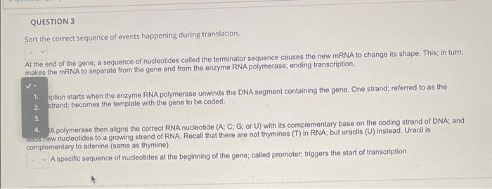 Solved What is the function of RNA polymerase? Synthesizes | Chegg.com