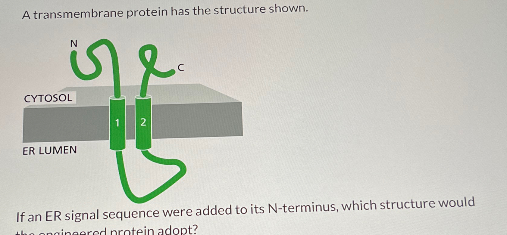 Solved A transmembrane protein has the structure shown.If an | Chegg.com