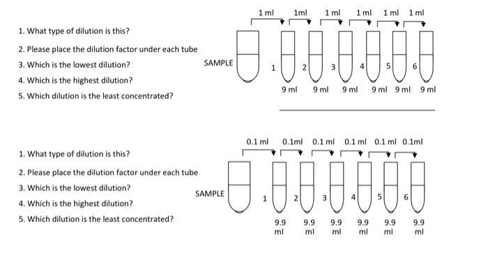 Solved 1 ml 1ml 1 ml 1 ml 1 ml 1 ml 1. What type of dilution | Chegg.com