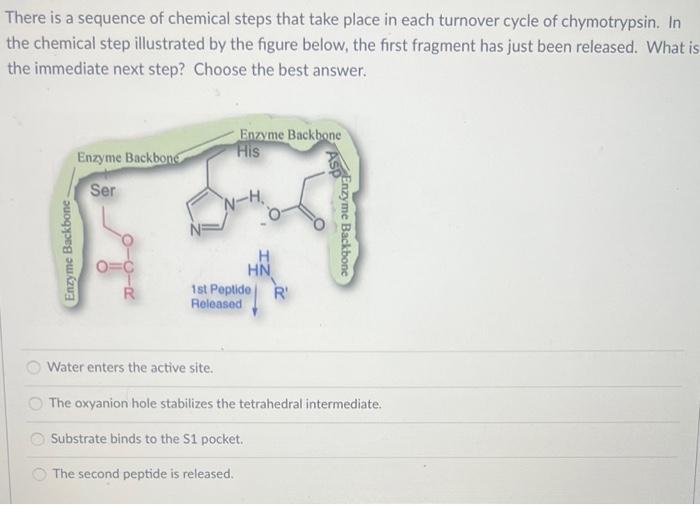 Solved There is a sequence of chemical steps that take place | Chegg.com