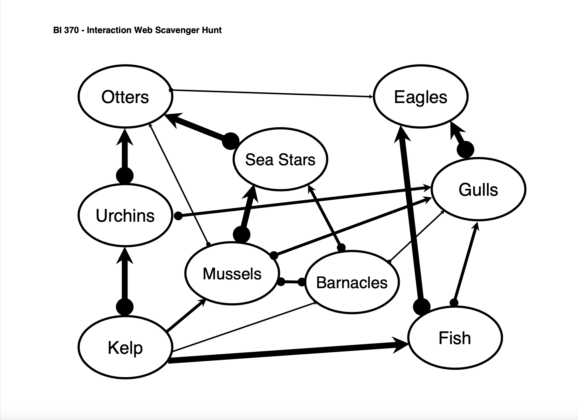 Solved BI 370 - ﻿Interaction Web Scavenger Hunt. Types of | Chegg.com
