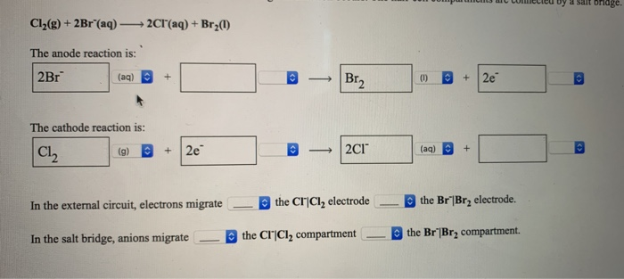 Solved Cl2(g) + 2Cr2+(aq) → 2C (aq) + 2Cr3+ (aq) The anode | Chegg.com