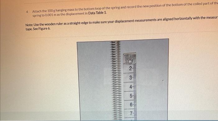 In this exerclse you will measure the spring constant | Chegg.com