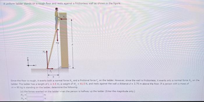Solved A uniform ladder stands on a rough floon and rests | Chegg.com