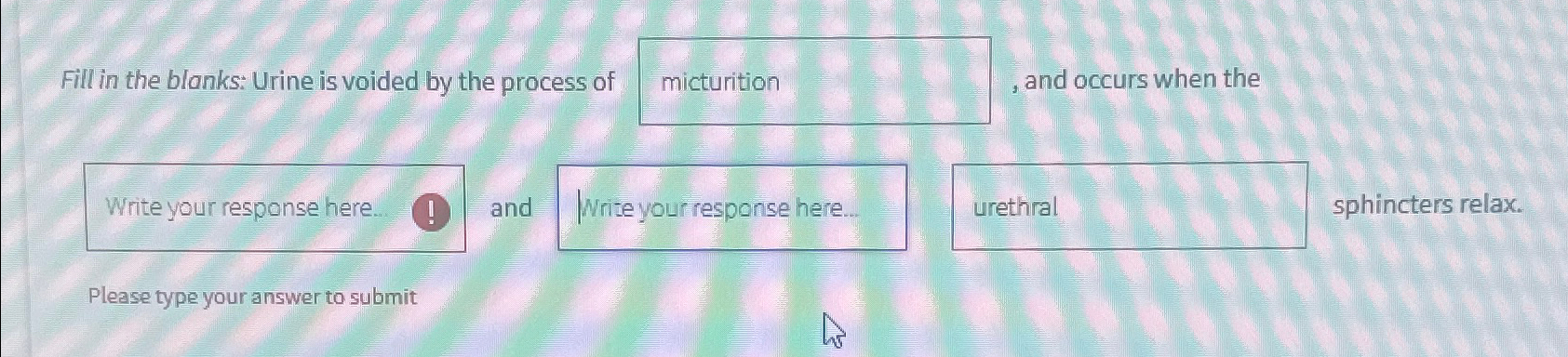 Solved Fill in the blanks: Urine is voided by the process of | Chegg.com