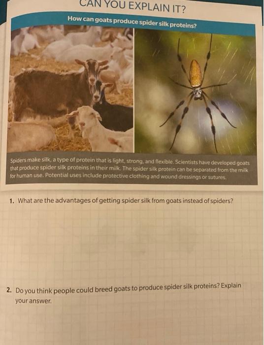 Solved CAN YOU EXPLAIN IT? How can goats produce spider silk | Chegg.com