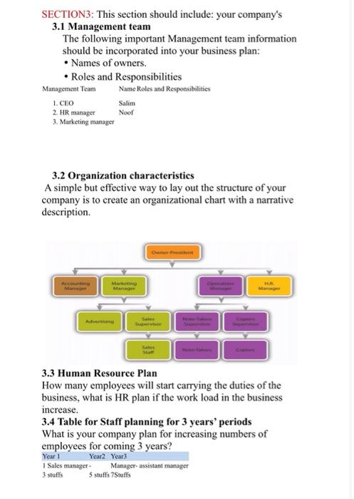 SECTION3: This section should include: your company's | Chegg.com