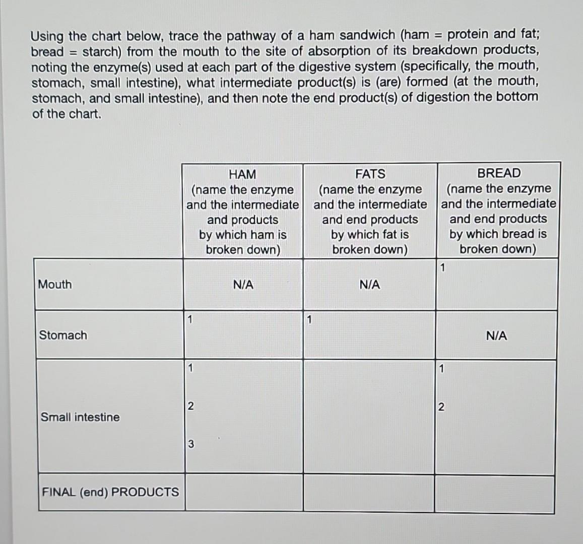 Solved Using the chart below, trace the pathway of a ham | Chegg.com